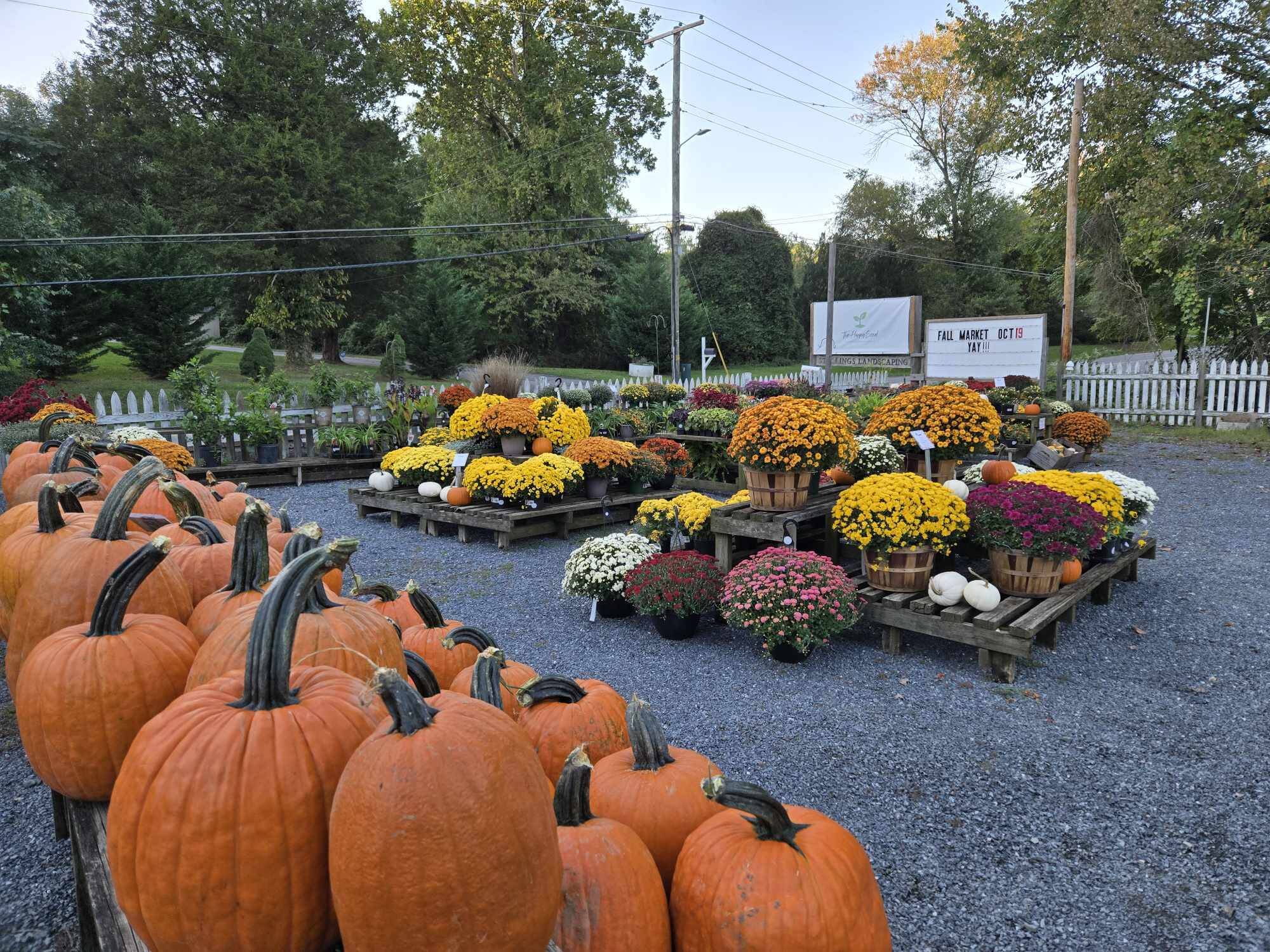 Home | The Happy Seed Company
