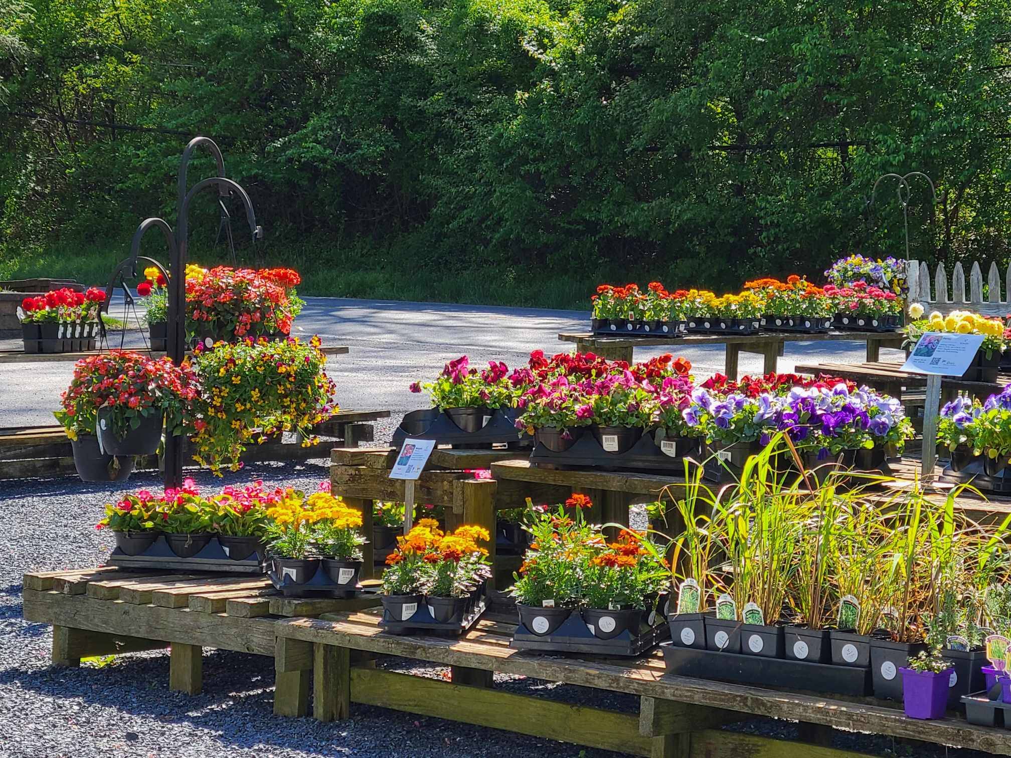 Home | The Happy Seed Company